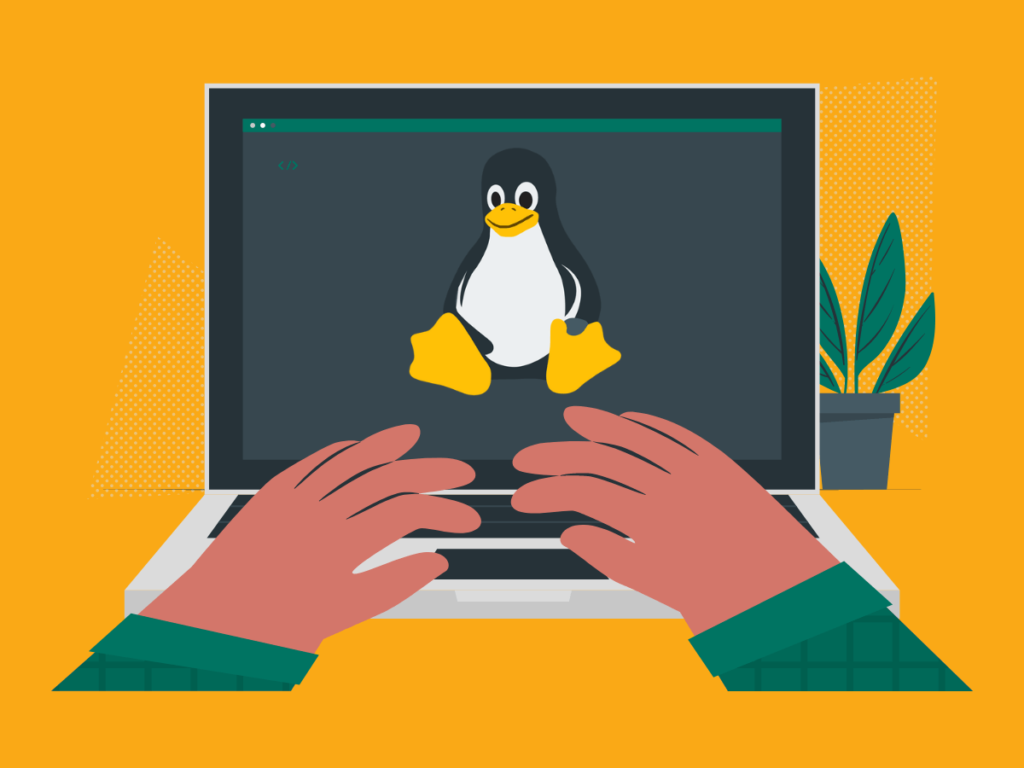 Top 25 Basic Linux Commands for Beginners - MCloud9 Hosting