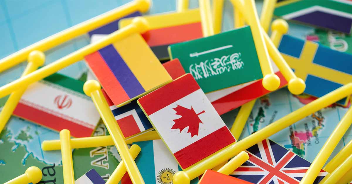 What Is a ccTLD? An Easy Guide to Country Code Top-Level Domains ...